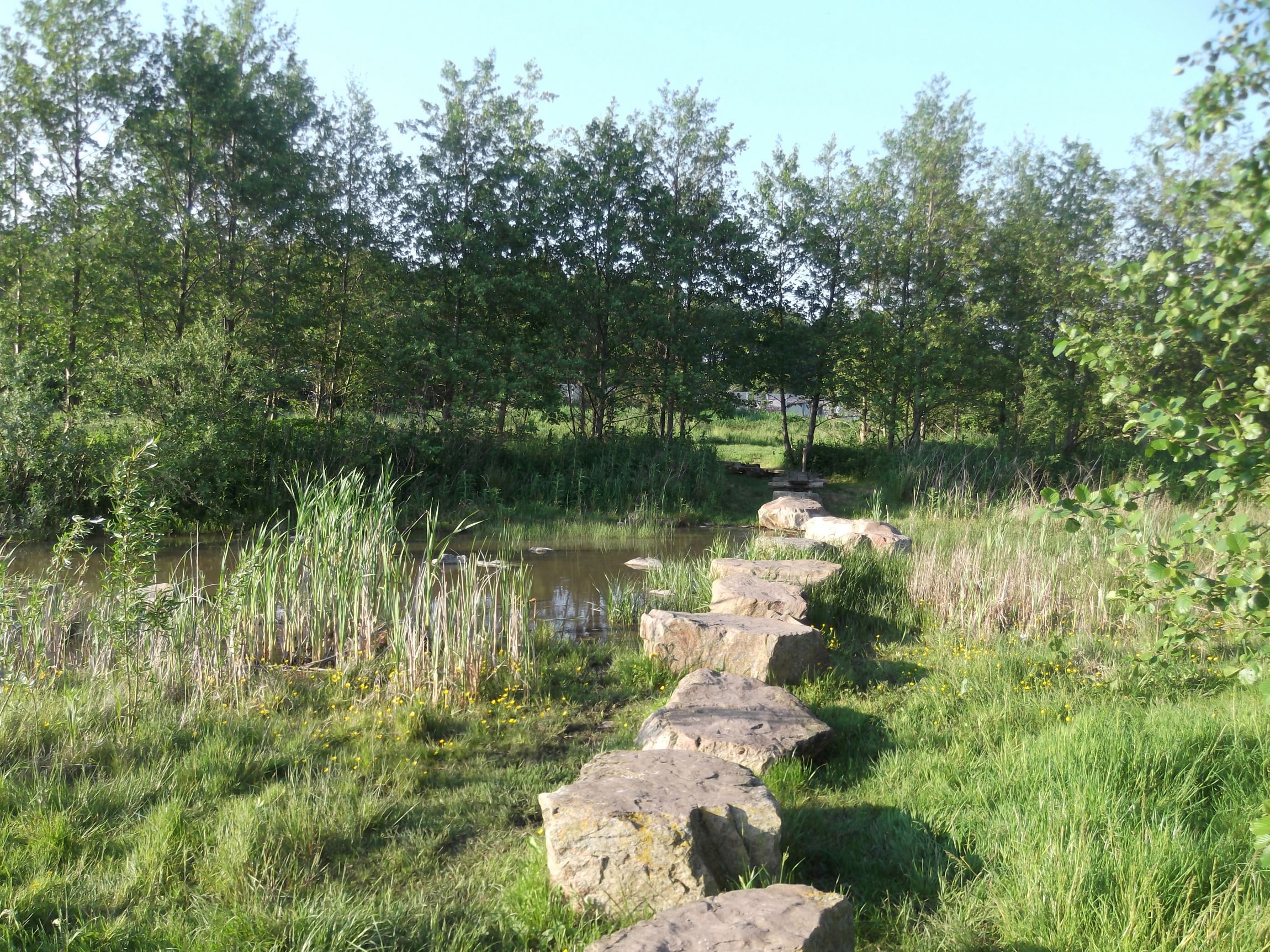 Aanbod - Kleurrijkeweg.nl
